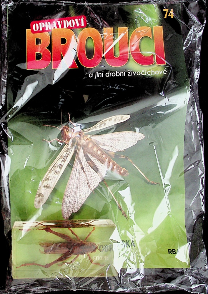 Opravdoví brouci | Mediaprint & Kapa