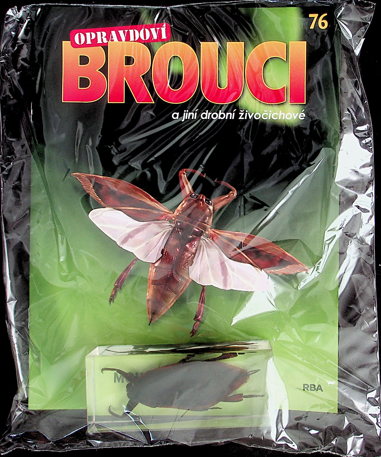 Opravdoví brouci | Mediaprint & Kapa